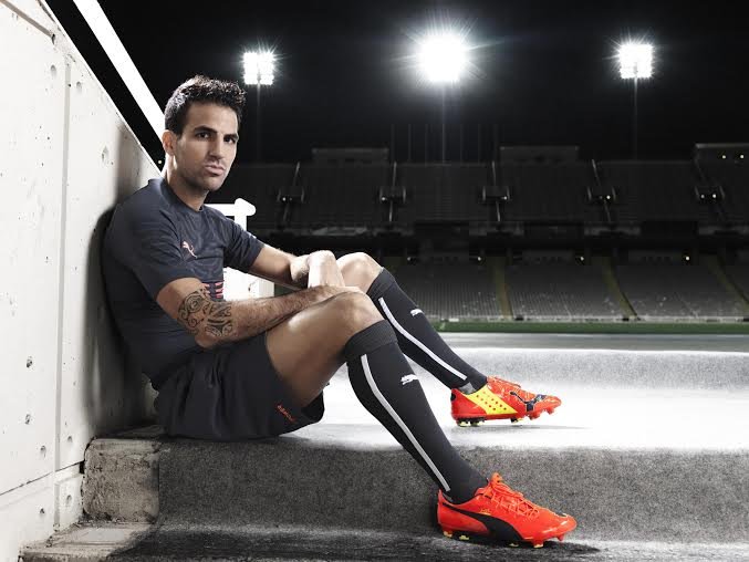 Puma Evopower 2014