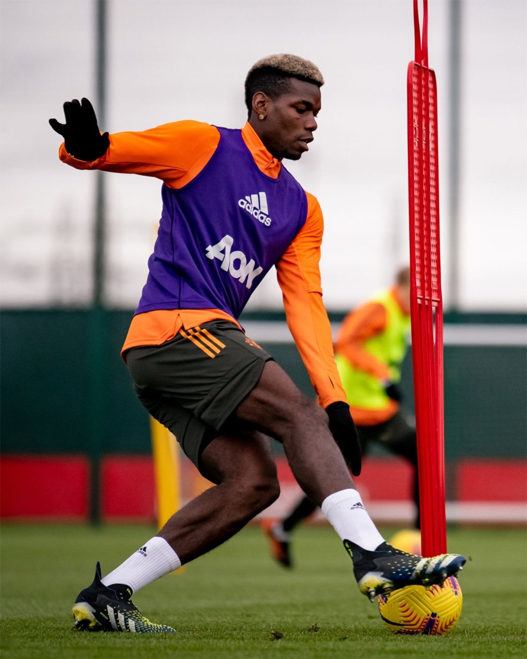 adidas Predator Freak Pogba Training - Marca de Gol